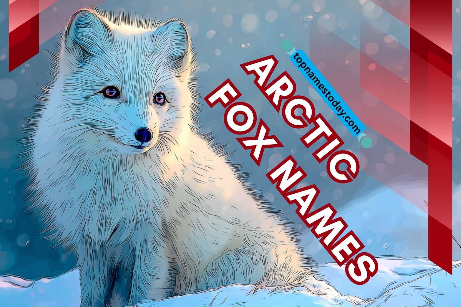 365+ Arctic Fox Names for Your Frosty Friend [Cute & Clever Ideas ...