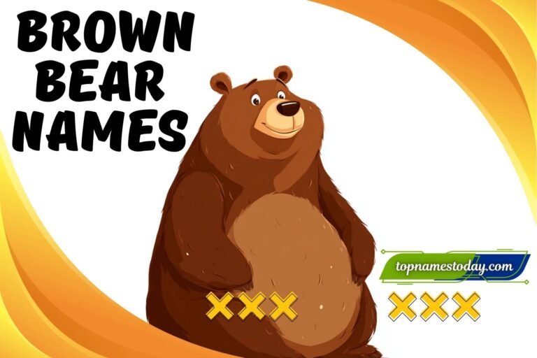 459+ Best Bear Names for Your Furry Friend (Cute, Funny & Strong Ideas ...